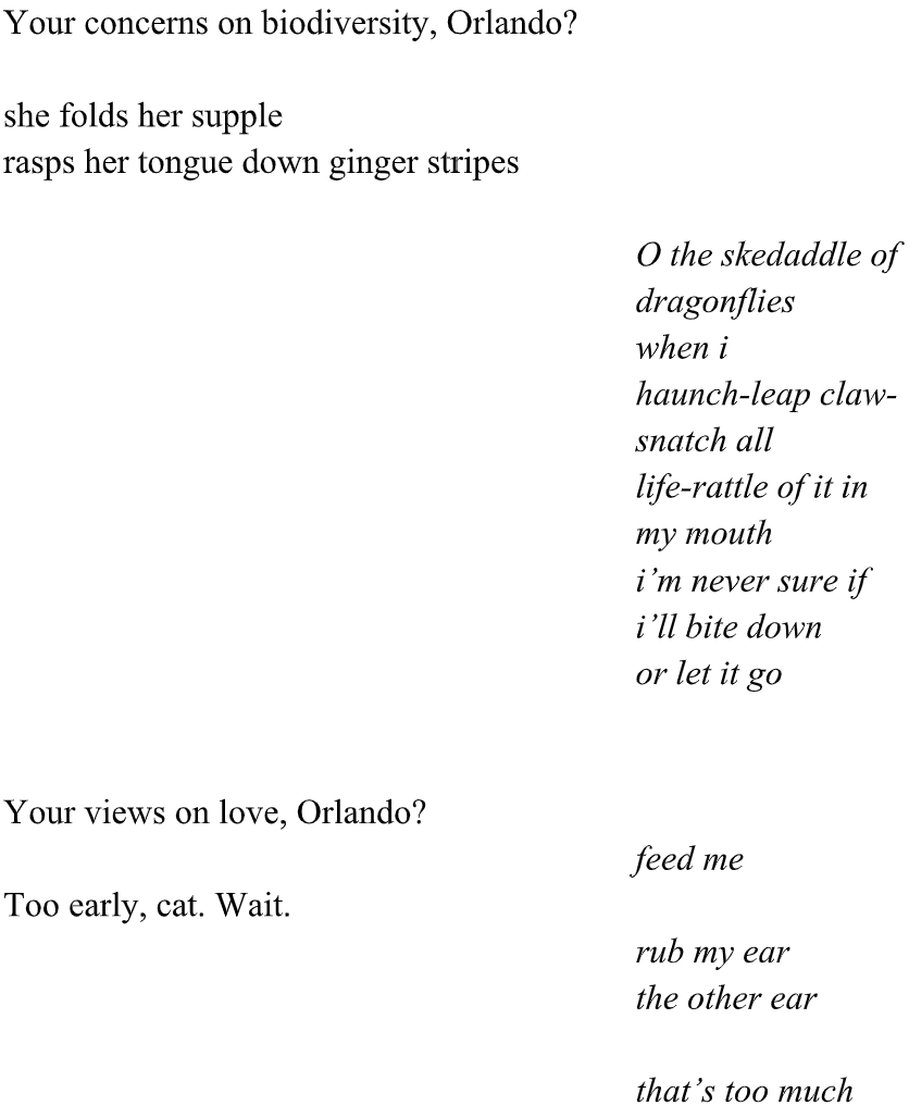 PS. The cat considers important things – Jean Atkin