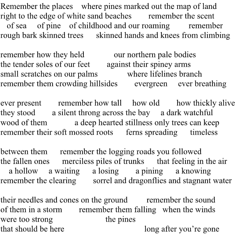 Scots Pine – Sophia Argyris