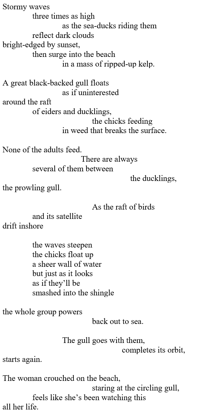 Hypervigilance – Helen Evans