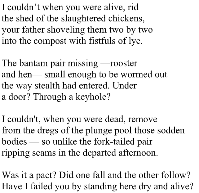 A Couple of Sundays – Kymm Coveney