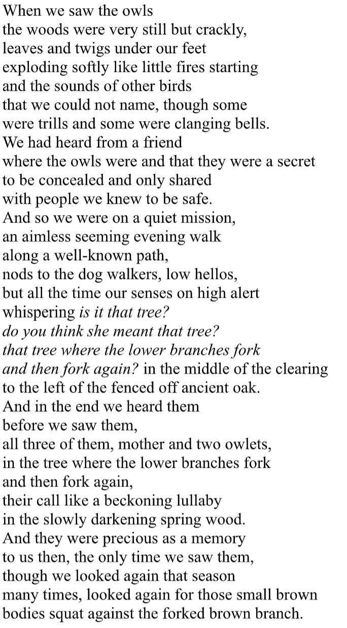 The owls – Susannah Hart